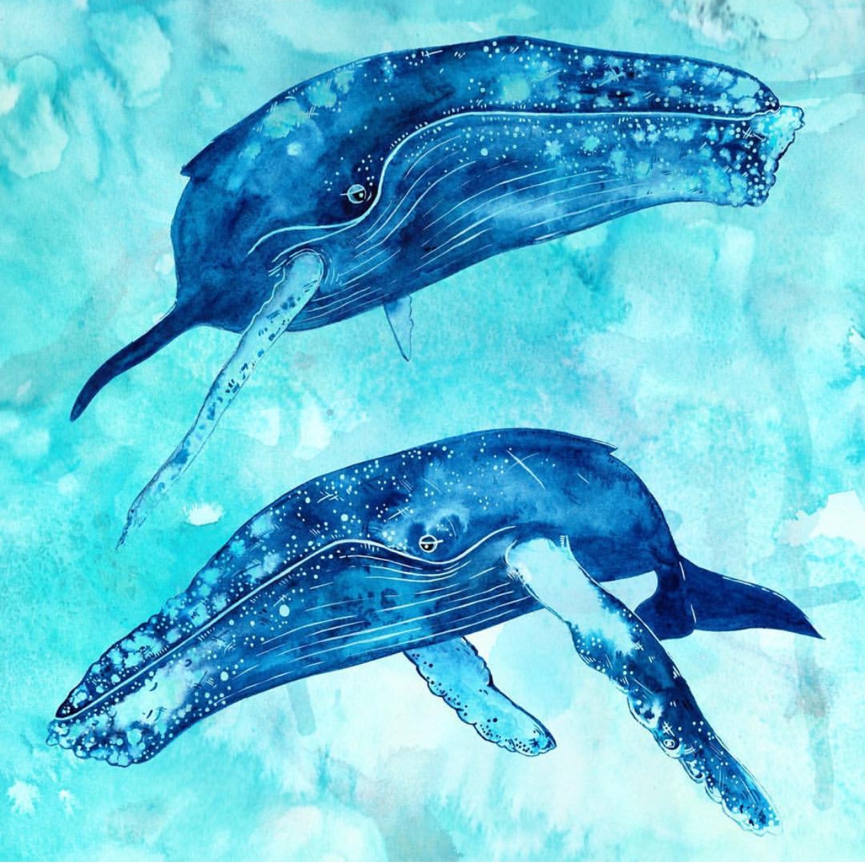 Art Room Britt: Watercolor Whales