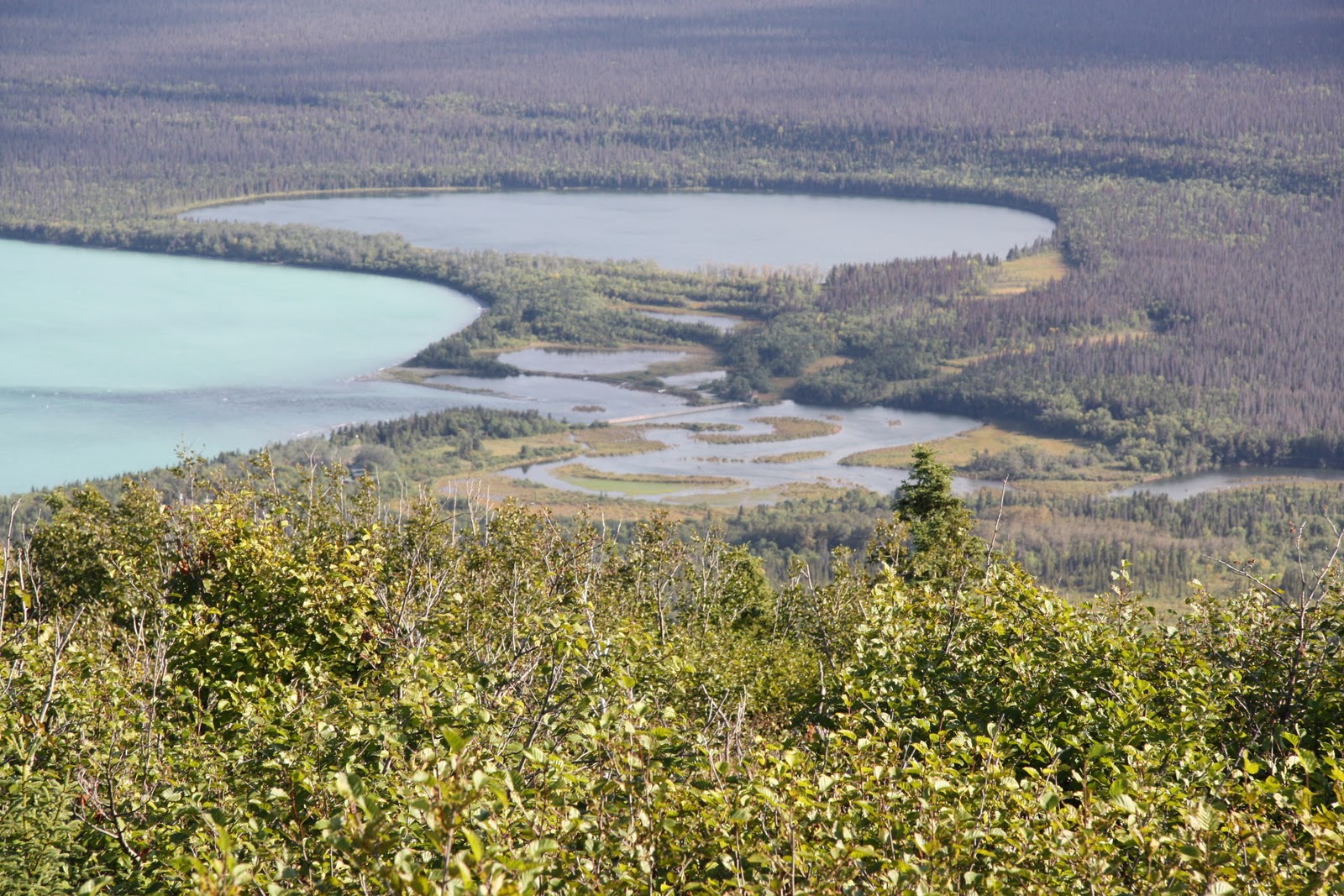 Living on the Edge: Brooks Camp I