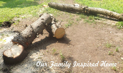 Our Family Inspired Home: Our Tree Cutting Adventure