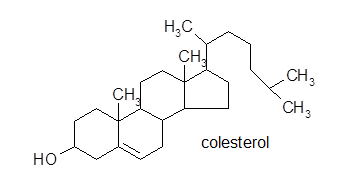 CURIOSIDADES CIENTÍFICAS : Estructura del colesterol