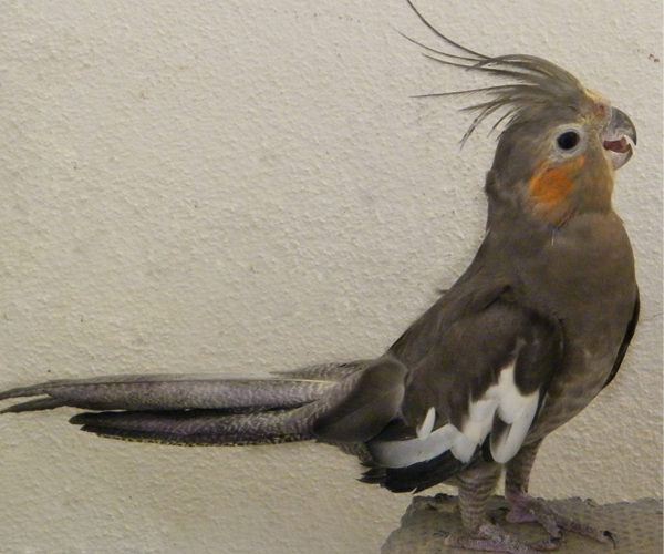 Kieran Crichton: March 2014