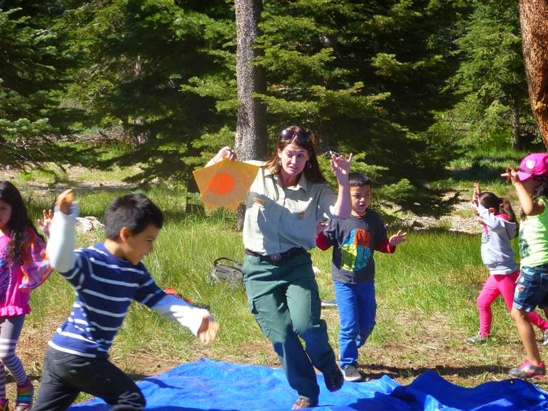 WOWEE (Wonders of Water Expanded Edition) - HAERR TRIPPIN'