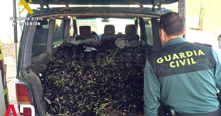 La Guardia Civil detiene a cinco personas y desarticula un grupo criminal dedicado al robo de ...