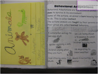 Science Notebooking: Animal Adaptations - Adrienne Teaches