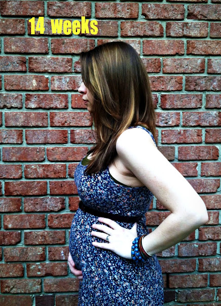 best. day. ever.: 14 weeks