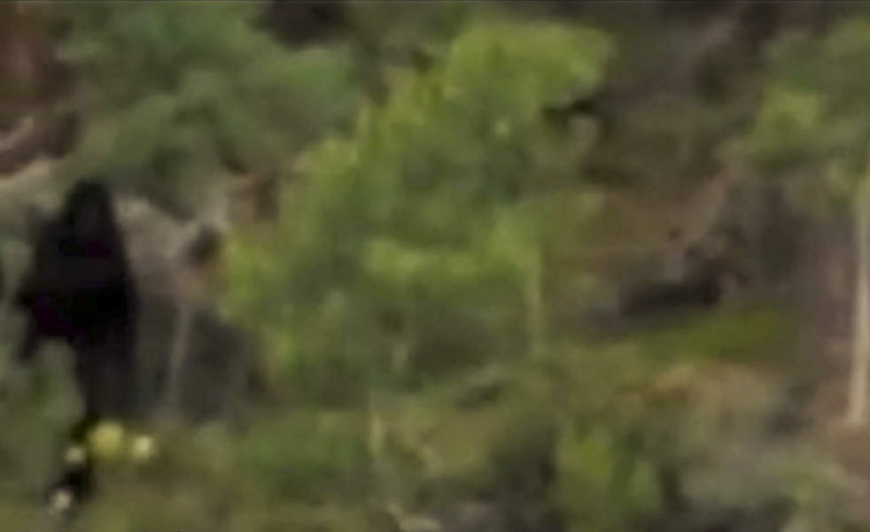 RMSO Bigfoot: A skateboarder in Lake Tahoe captures what looks like ...