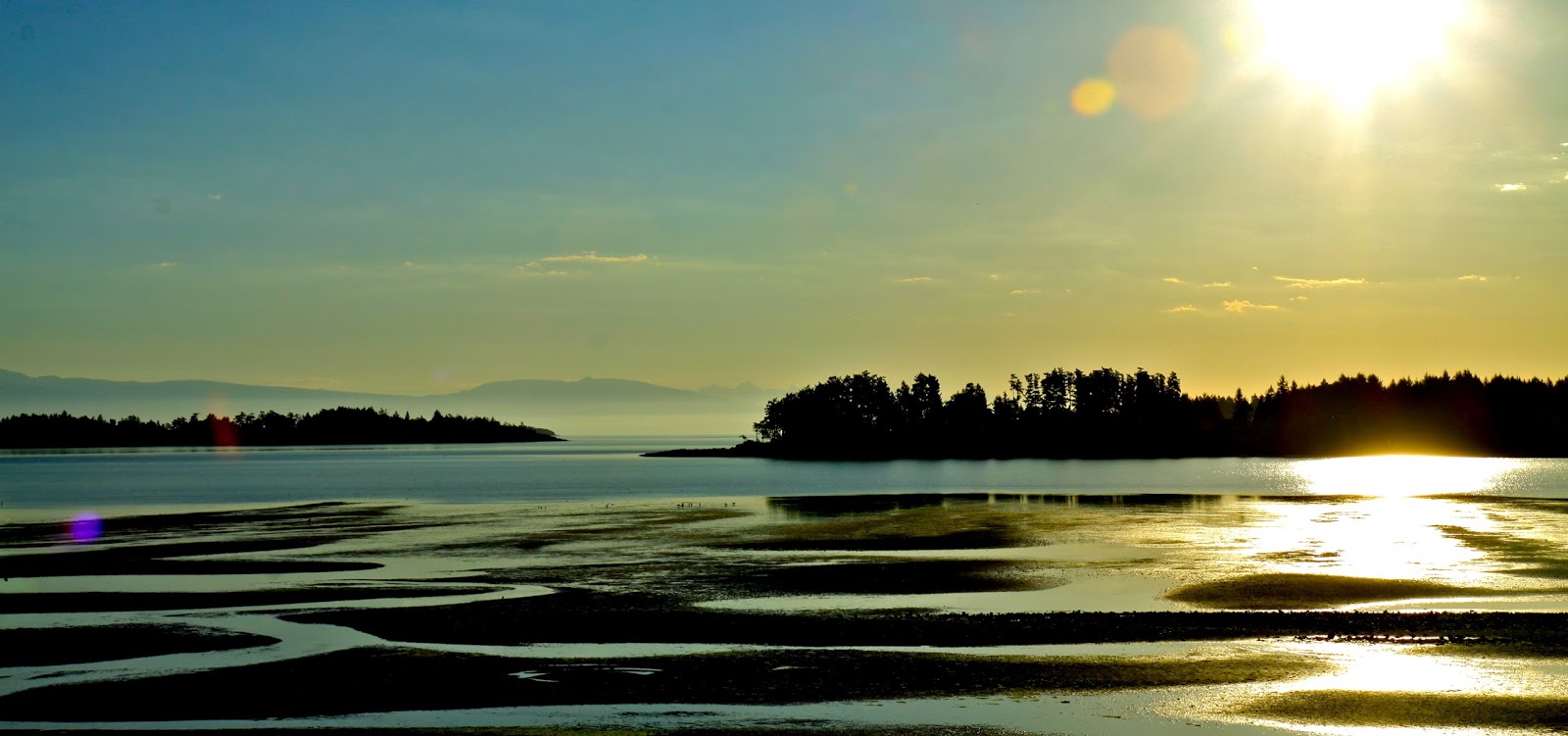 on my toes: Parksville, BC