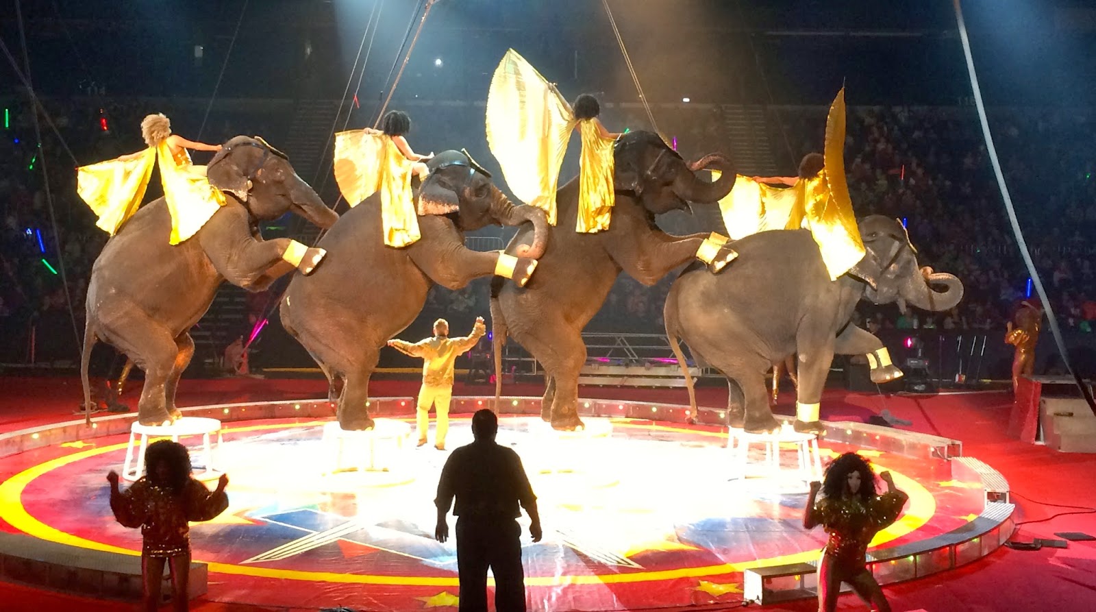 The Circus Came To Town | Anchors Aweigh