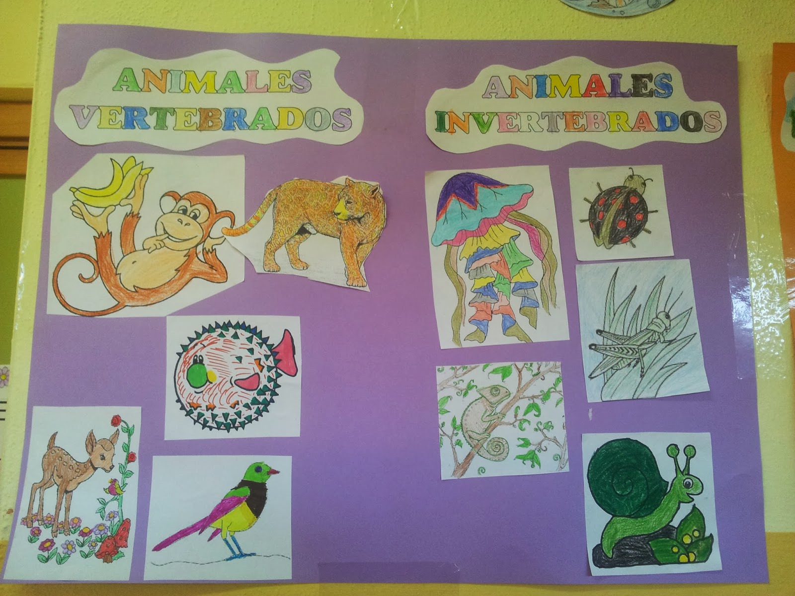 Blog de Tercero - CEIP Andalucía (Guillena): Murales sobre los animales ...