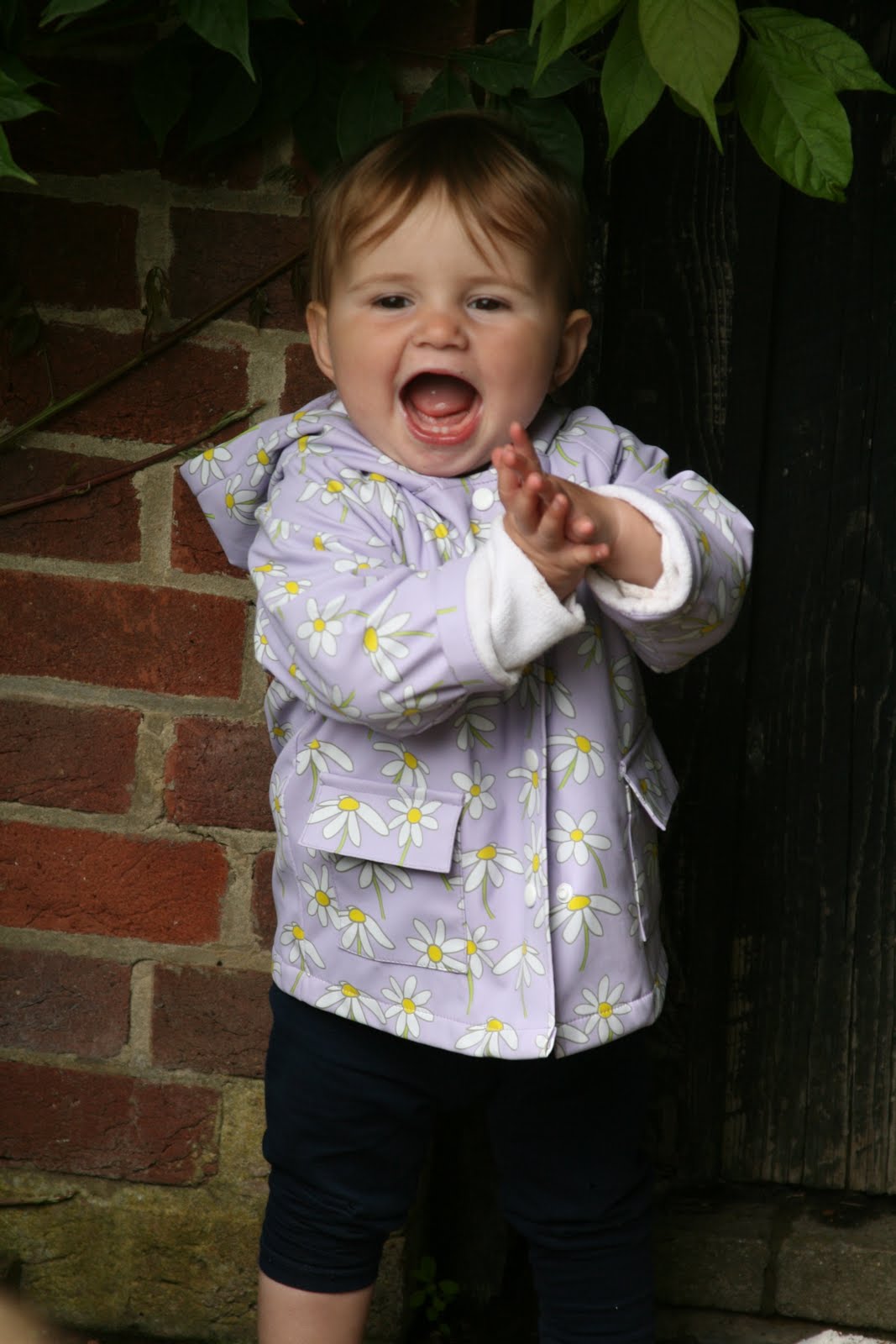 Introducing......Little Bean! - The Imagination Tree