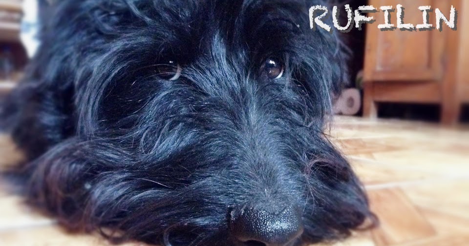 ¿Donde esta Rufilin?