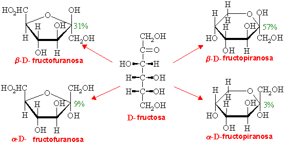Bioquímica Explosiva