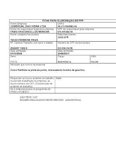 modelo ppp - wood scribd braxin