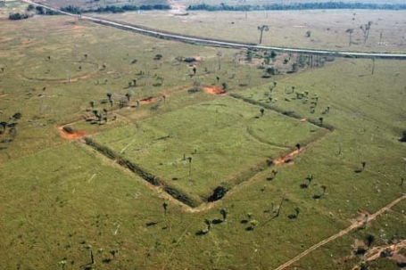 ¿UNA PIRAMIDE EN LA SELVA DEL AMAZONAS?