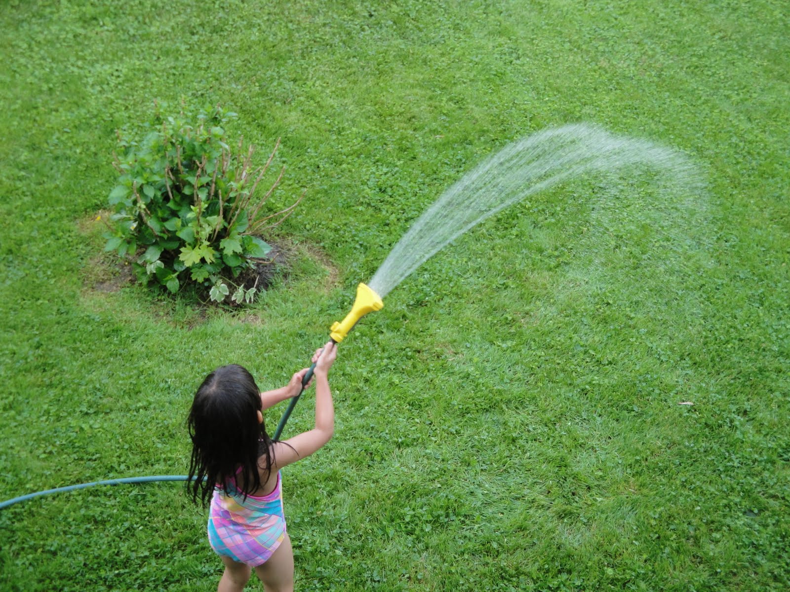 Travels and Wandering: Sprinkler Fun