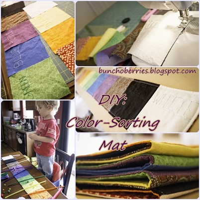 The Berry Bunch: DIY: Color-Sorting Mat