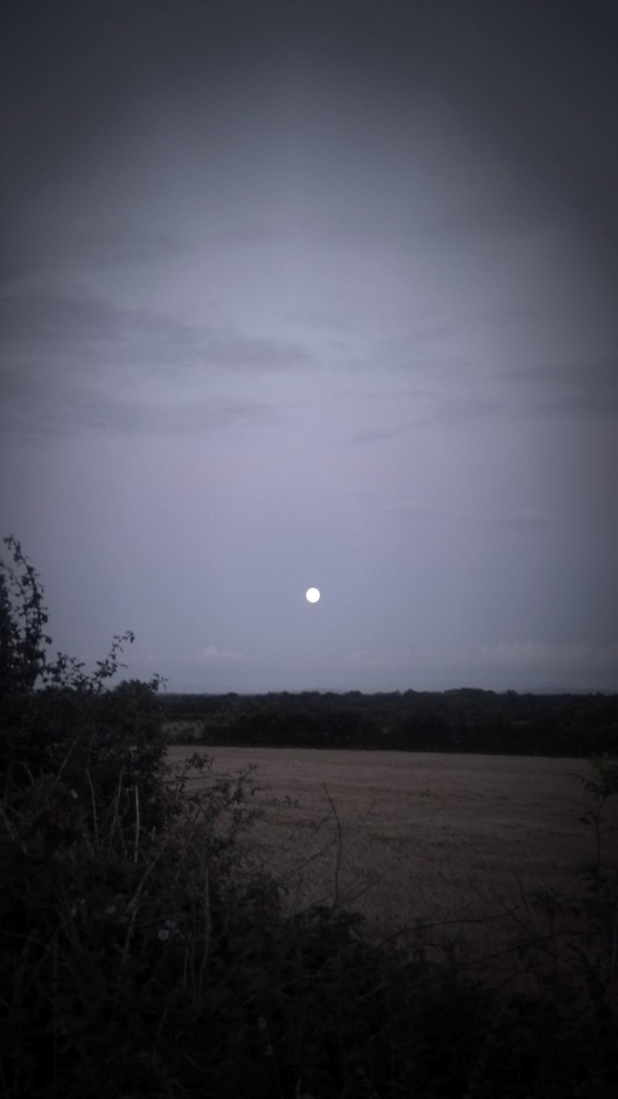 Mount Lucas Daingean Offaly Ireland