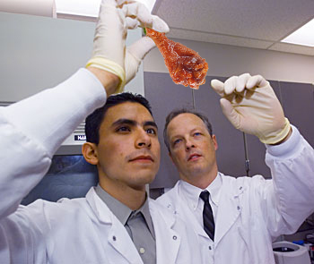 King of the Wing: Pizza Hut / Wingstreet: Buffalo Burnin' Hot