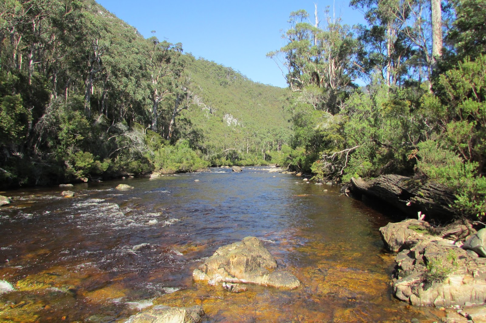 Weld River | Hiking South East Tasmania