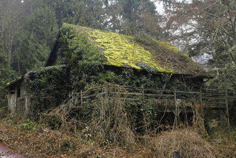 Fozia Iqbal . FMP Foundation Art and Design Blackburn College 2013 ...