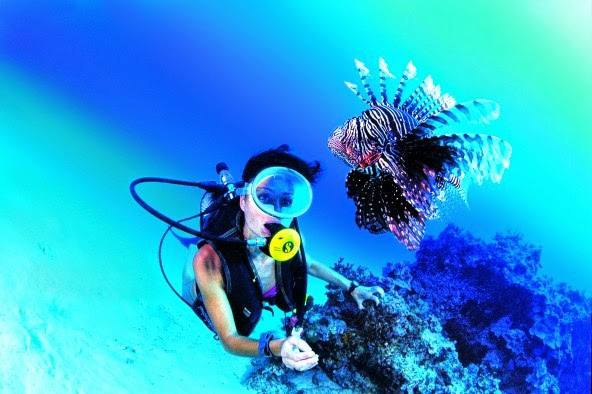 Myanmar Travel Expert: Diving in Burma (Myanmar)