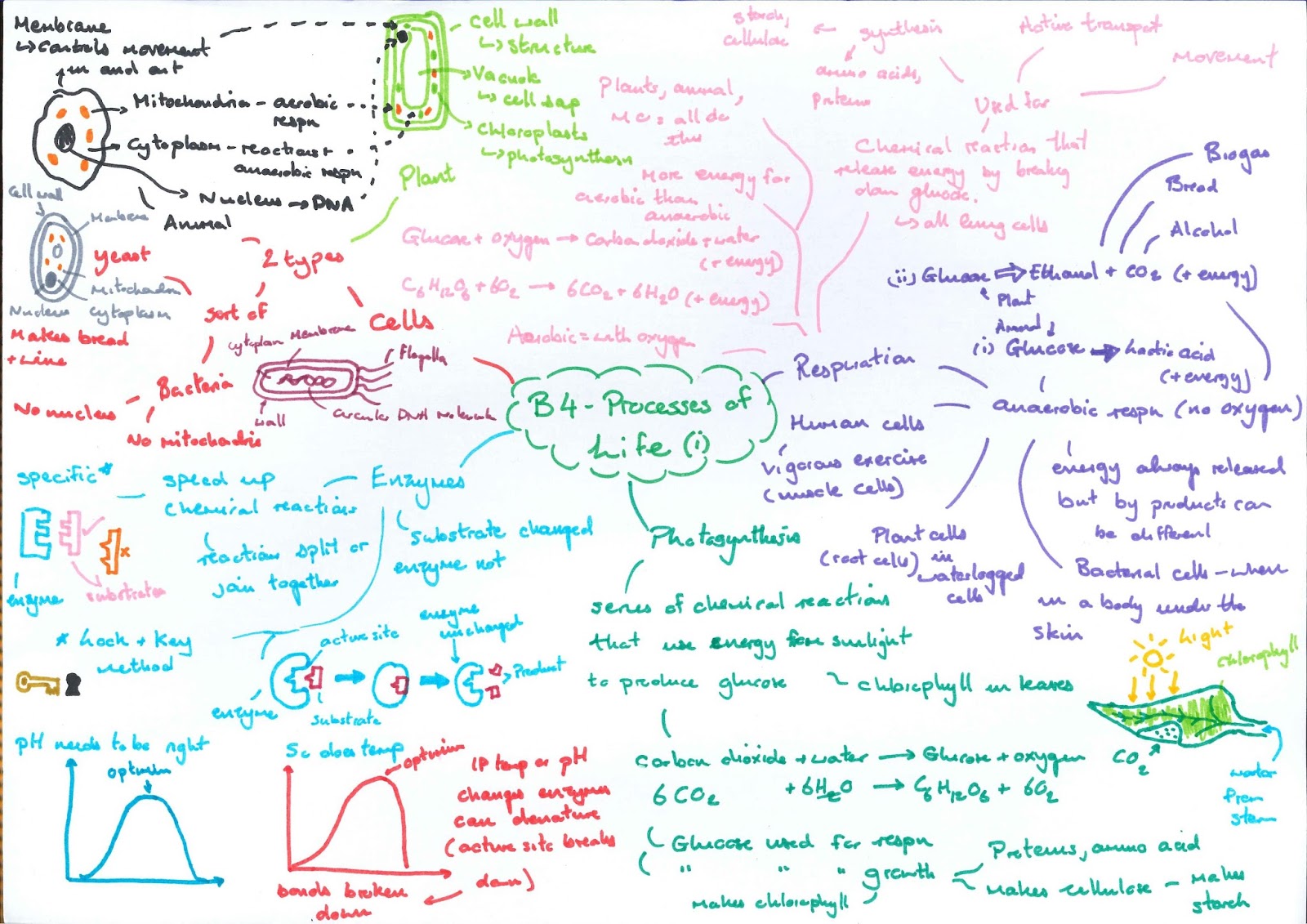 RevisionAid: B4 Mind Map part 1
