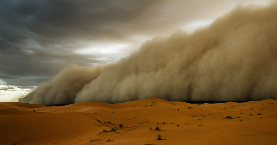 Inside the Sand Storm