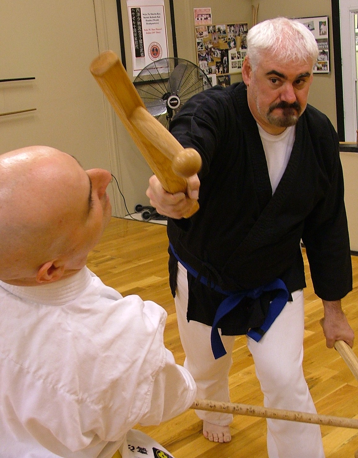 Tonfa - Soke Hausel's Guide to Okinawan Martial Arts Self-Defense Weapons