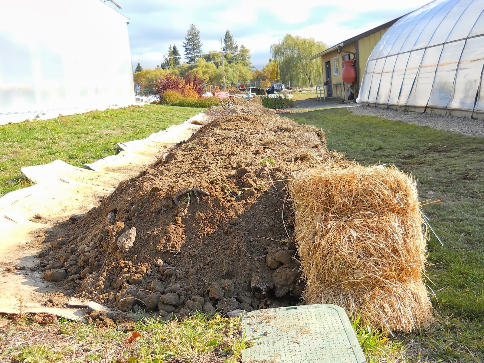 Sepp Holzer's Permaculture