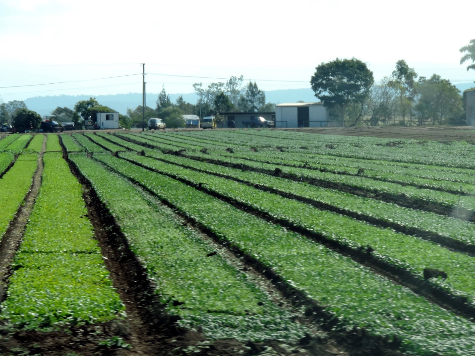 Des & Bev's 4th big lap of Australia 2015: To Kyogle NSW