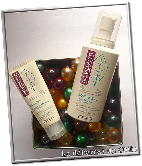 a Matter of Everything: Mon aventure Noviderm continue avec la crème ...