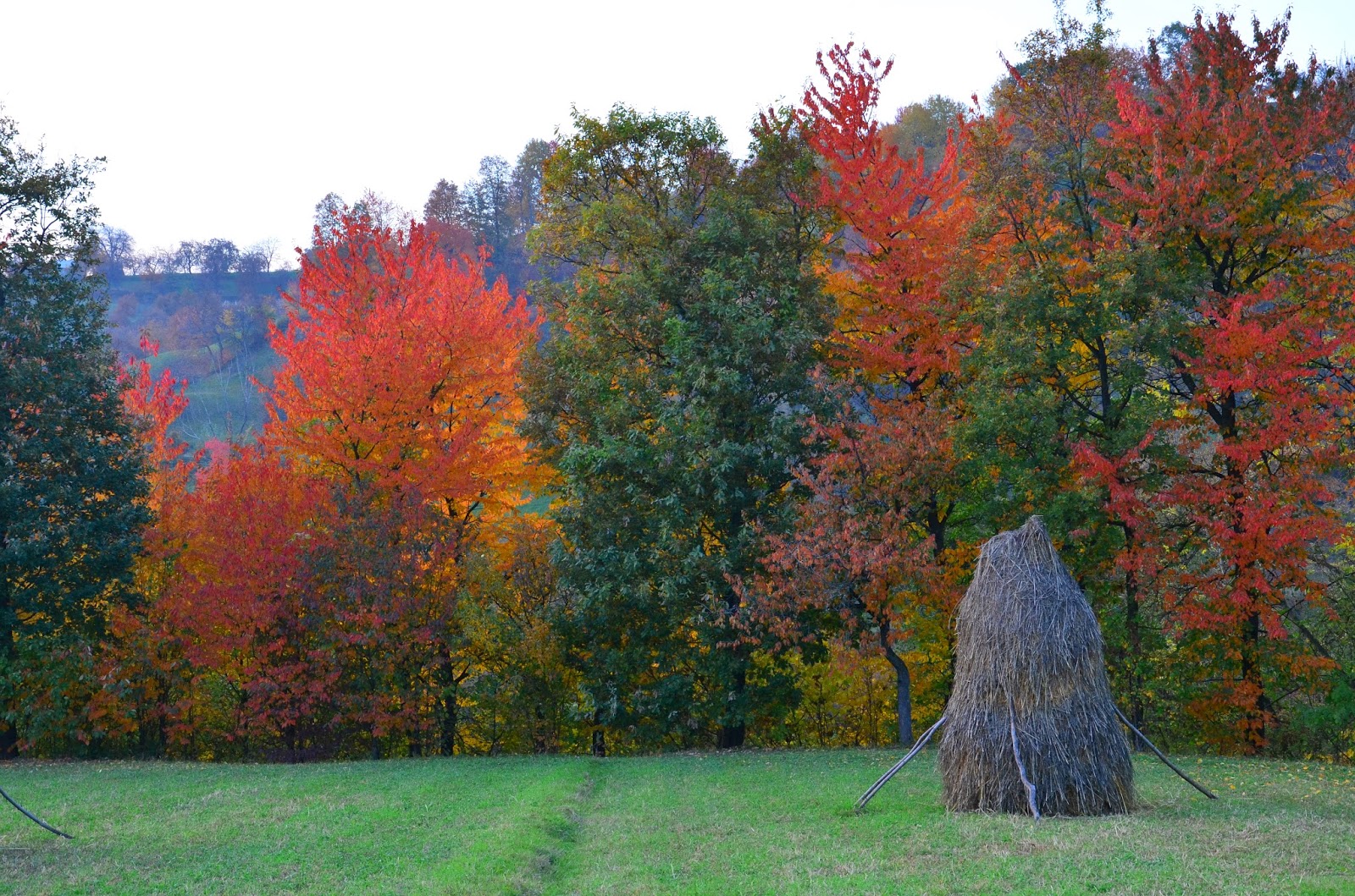 TUDOR PHOTO BLOG: Toamna in Maramures,Autumn in Maramures,Romania,Europe