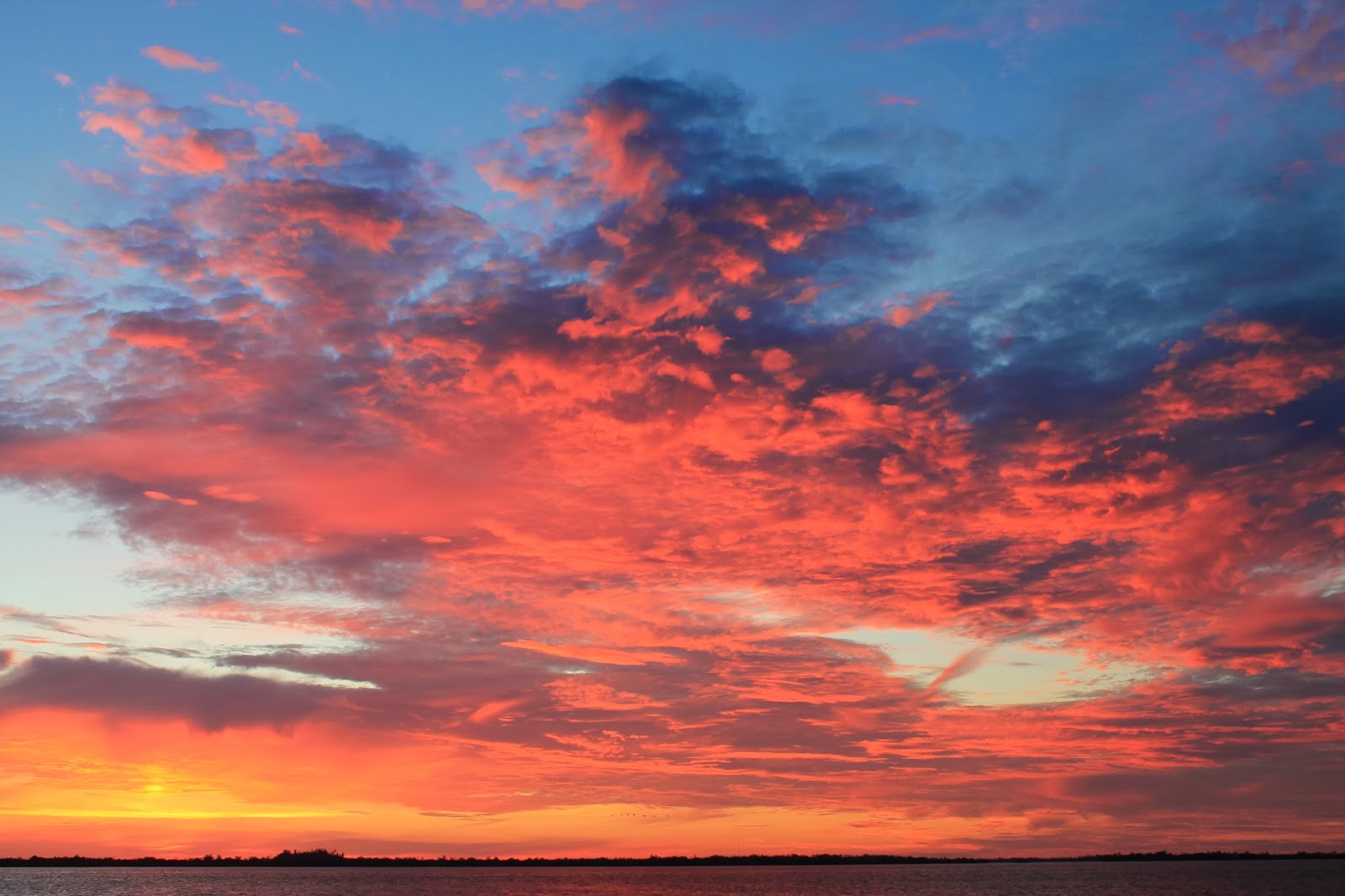 Connecting Pieces: Fall Color in the Sky