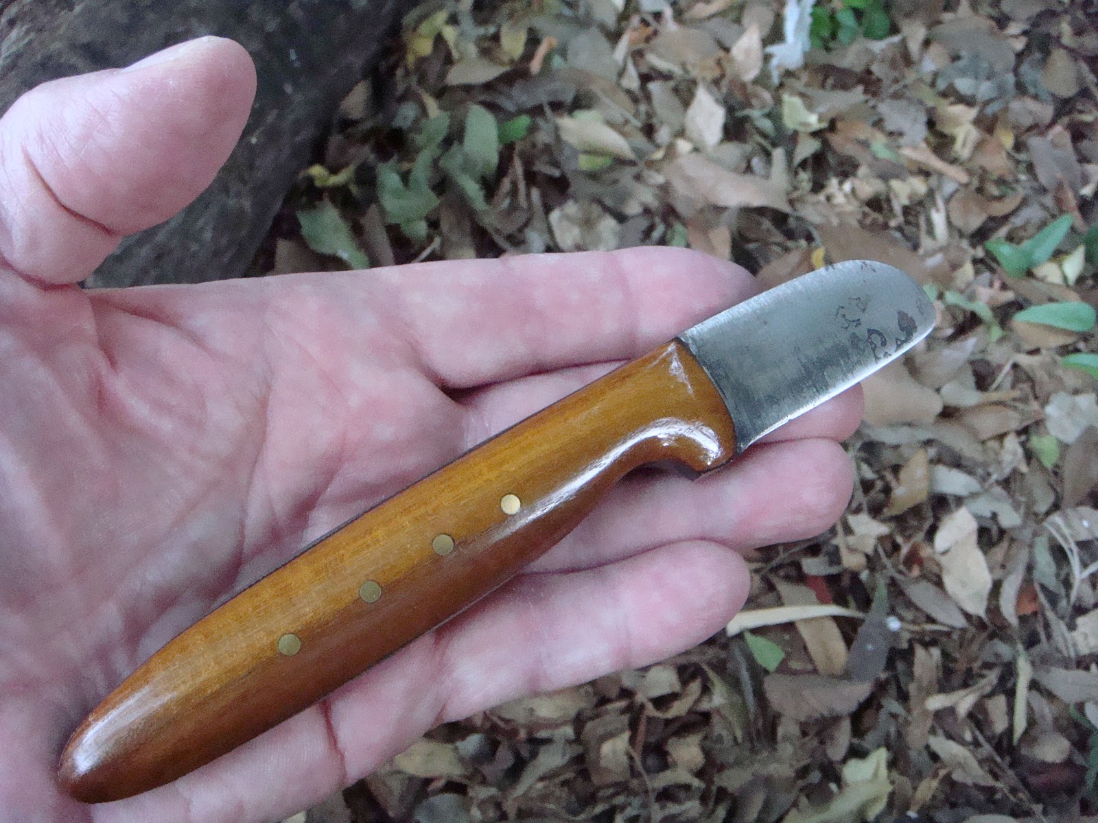 Woods Roamer: June 2011