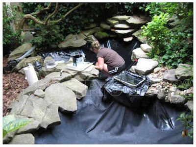 Pond Repair: What’s important for pond liner repair? Finding the leak ...