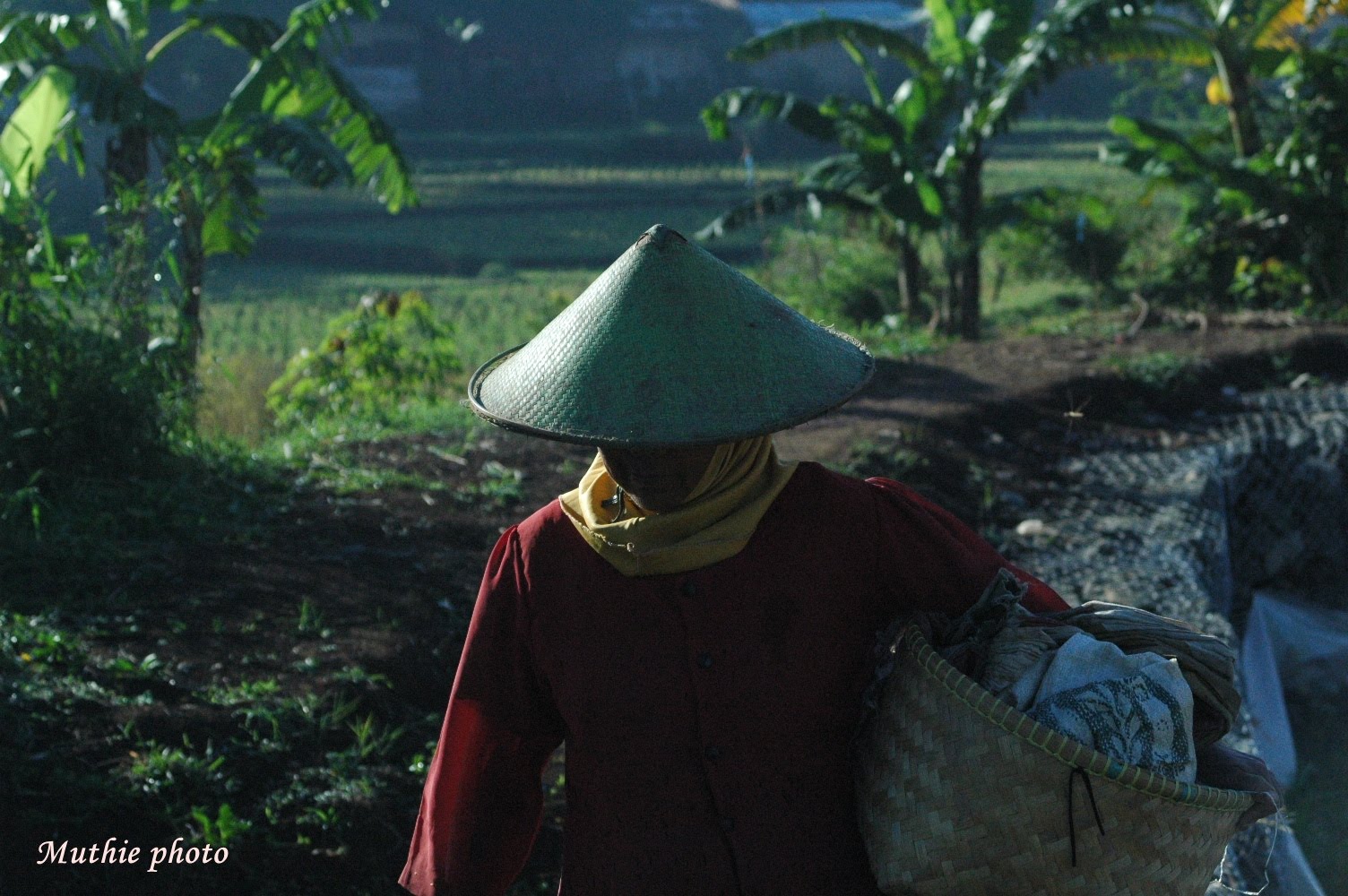 Semakin Berisi Semakin Merunduk