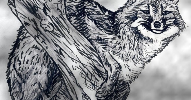 Le Roman de Renart: Le siège de Maupertuis - Renart échappe à la mort