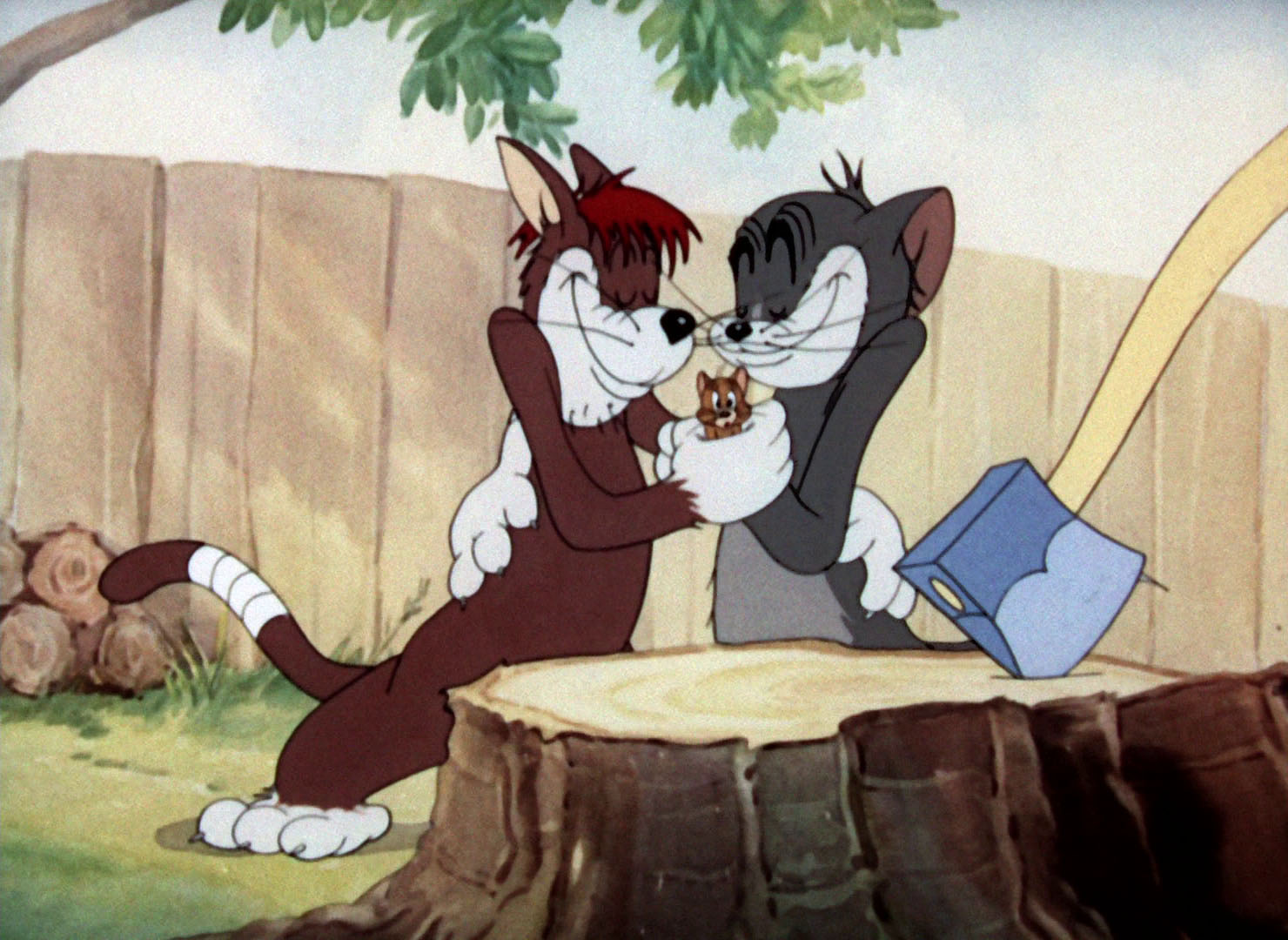 Tom & Jerry Pictures: "Sufferin' Cats"