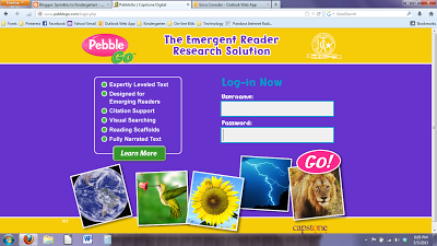 Sprinkles to Kindergarten!: Animal Research Project