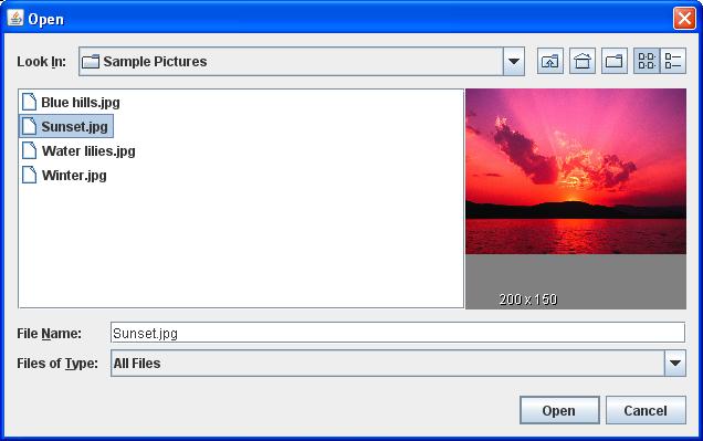 Nirav Raval's Blog For Java Developer: Image Preview In JFileChooser