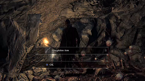 Amygdalan Arm | Bloodborne Wiki