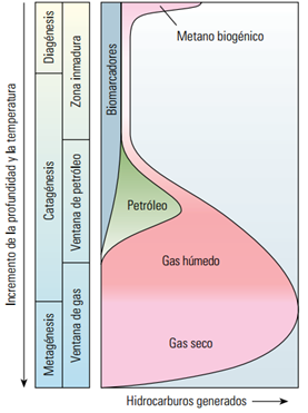Ingenieria petrolera: Etapas de maduración del kerogeno