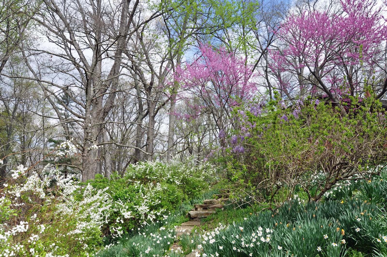 It's The Journey...: 03/25/12