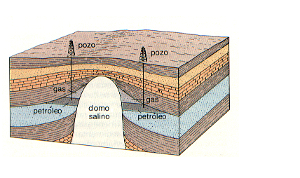 Opiniones de domo salino