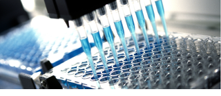 La Biotechnologie: biotechnologie blanche