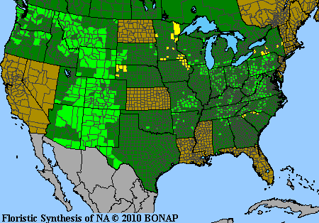 Restoring The Landscape With Native Plants: Native Plant of the Week ...