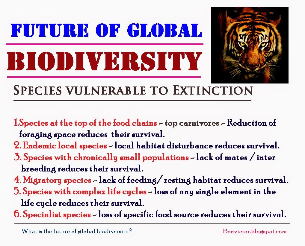 bonvictor.blogspot.com: What is the future of global biodiversity?