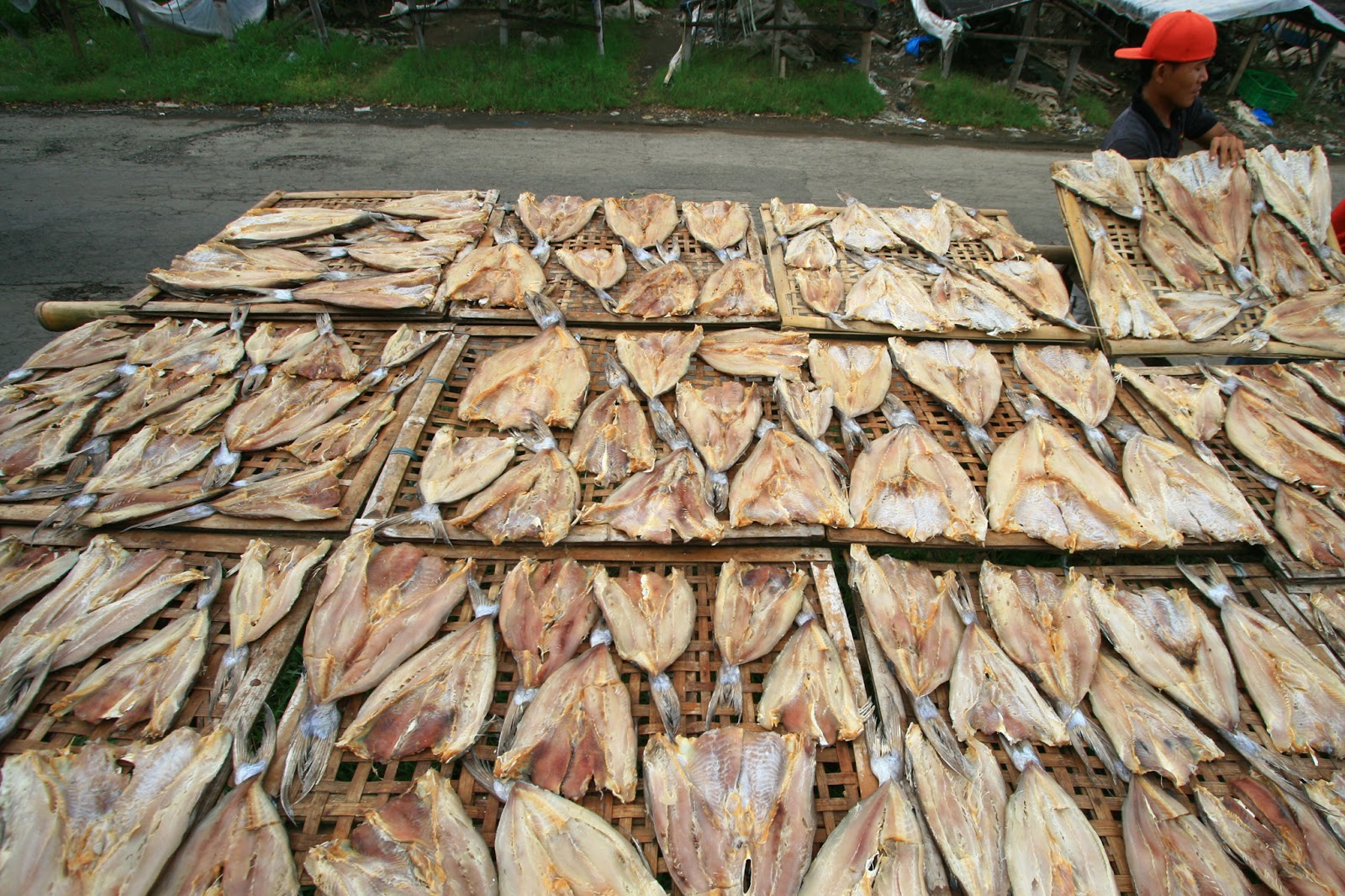 distributor ikan asin jambal roti, juragan ikan asin japuh jakarta ...