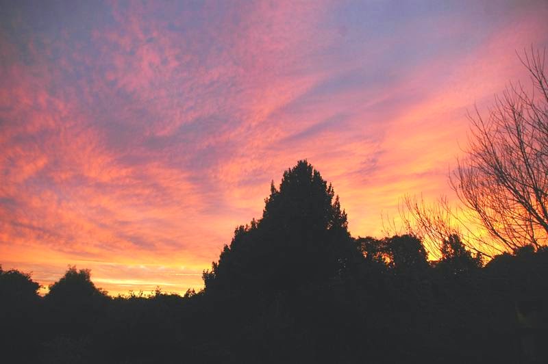 The Nature of Robertson: Soft sunset over Robertson