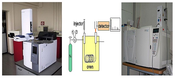 Gas Chromatography (GC)